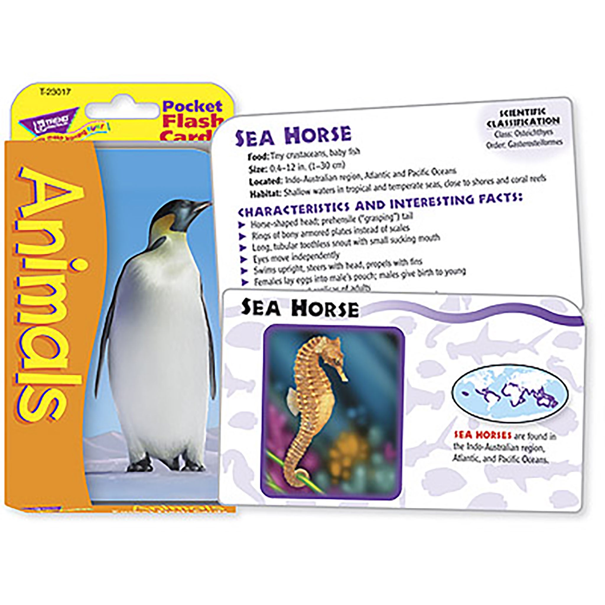 FLASH CARDS ANIMALES · Masterwise