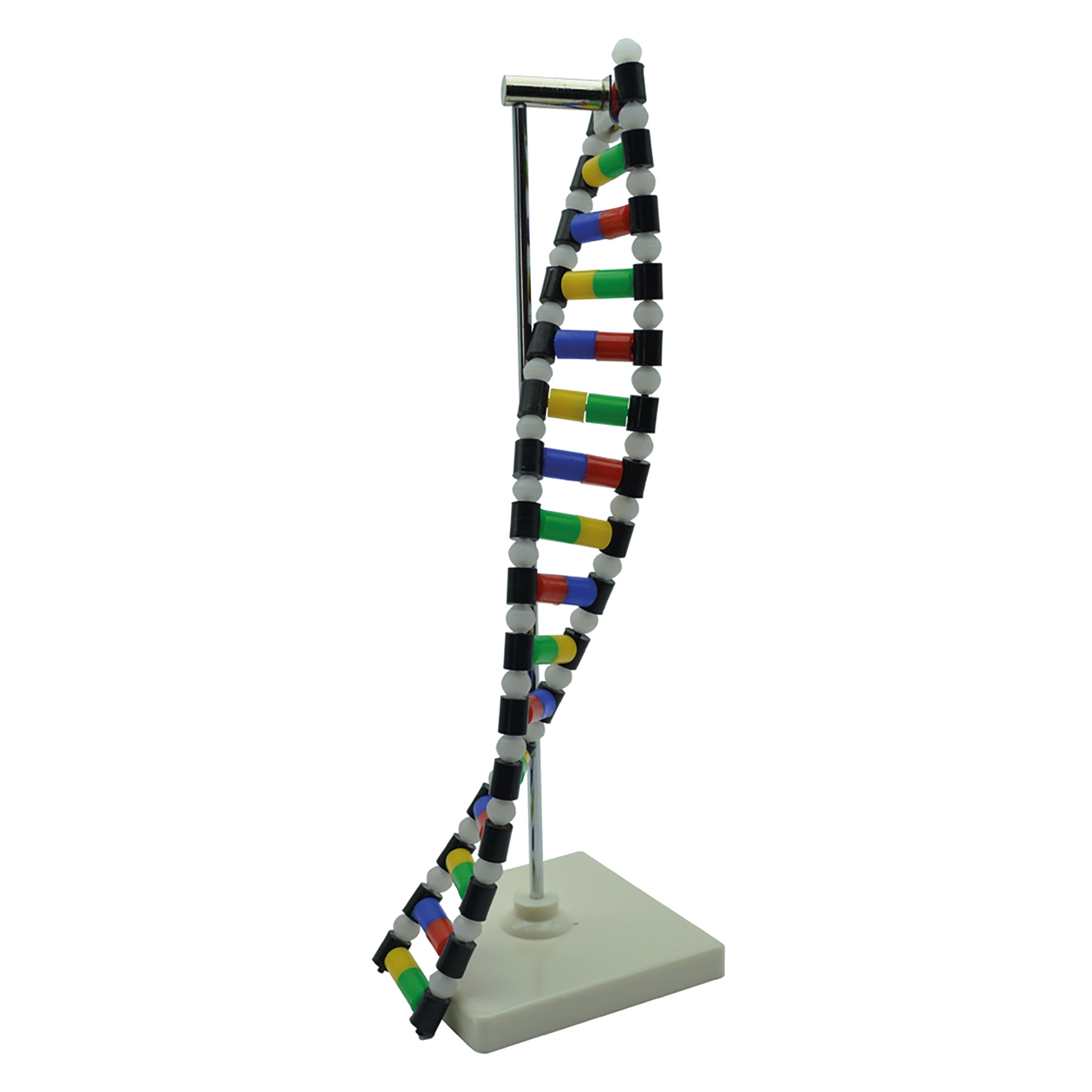 MODELO ADN CON BASE · Masterwise