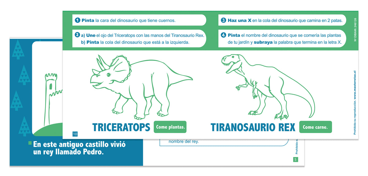 CUADERNILLO · Masterwise
