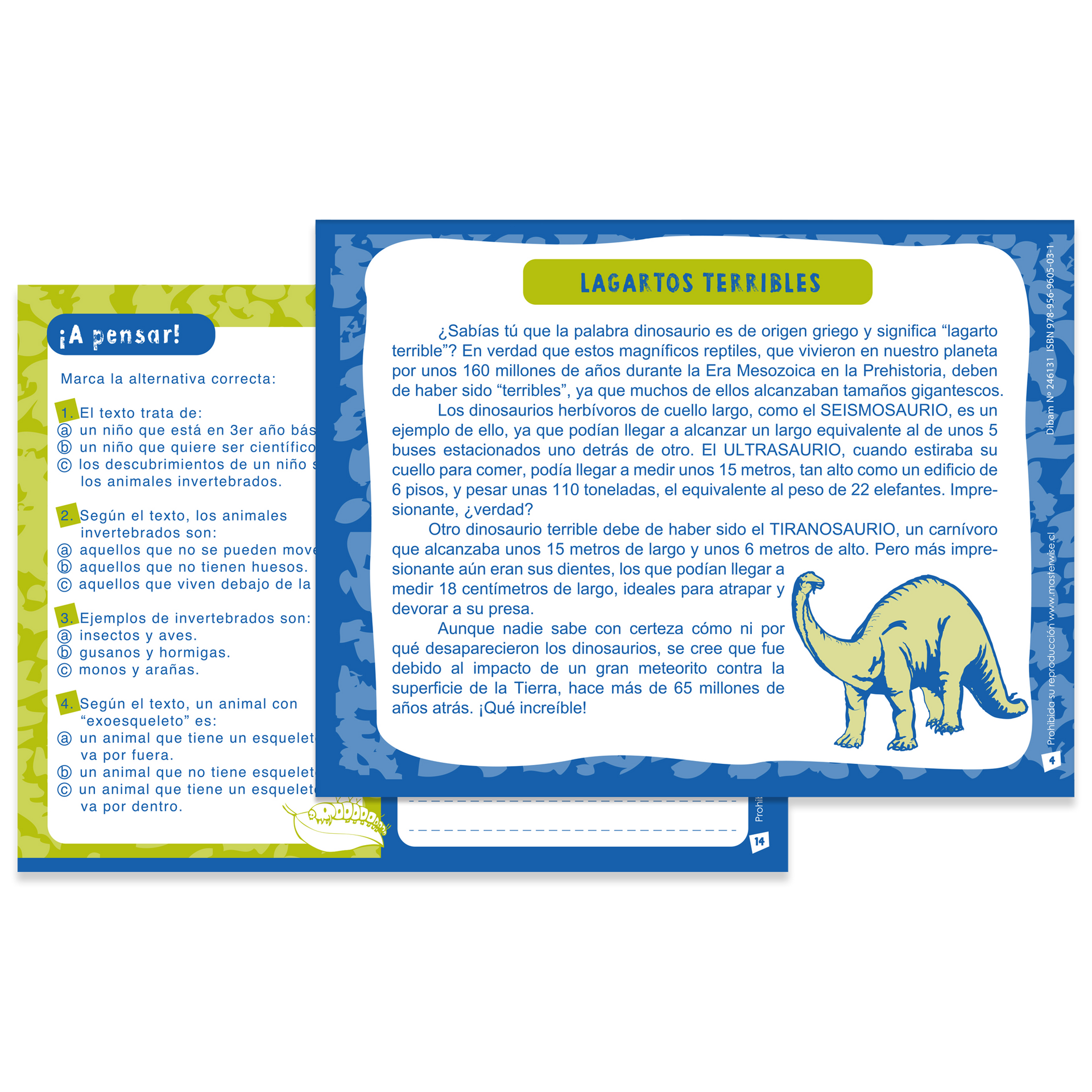 CUADERNILLO COMPRENSIÓN LECTORA EL OSO PANDA · Masterwise