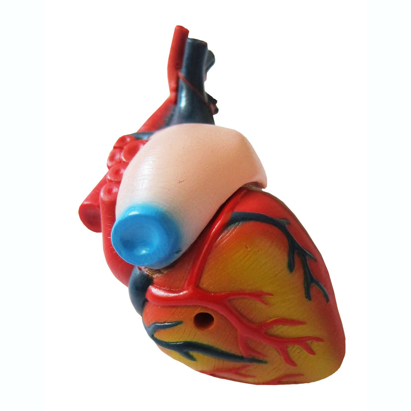 Ciencias · Masterwise