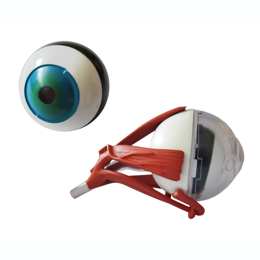 Ciencias · Masterwise