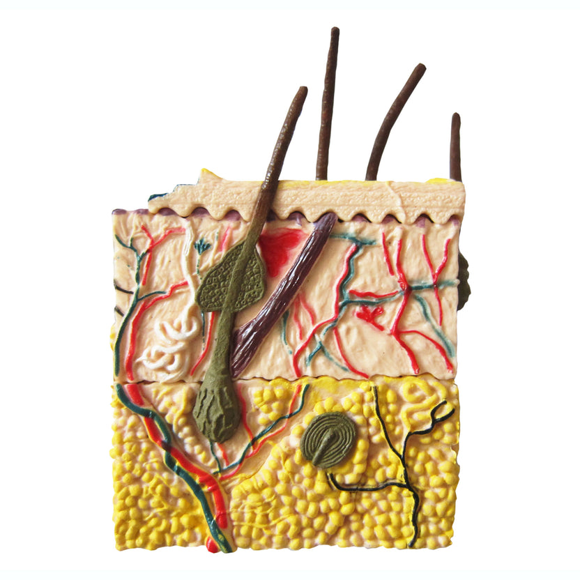 Ciencias · Masterwise