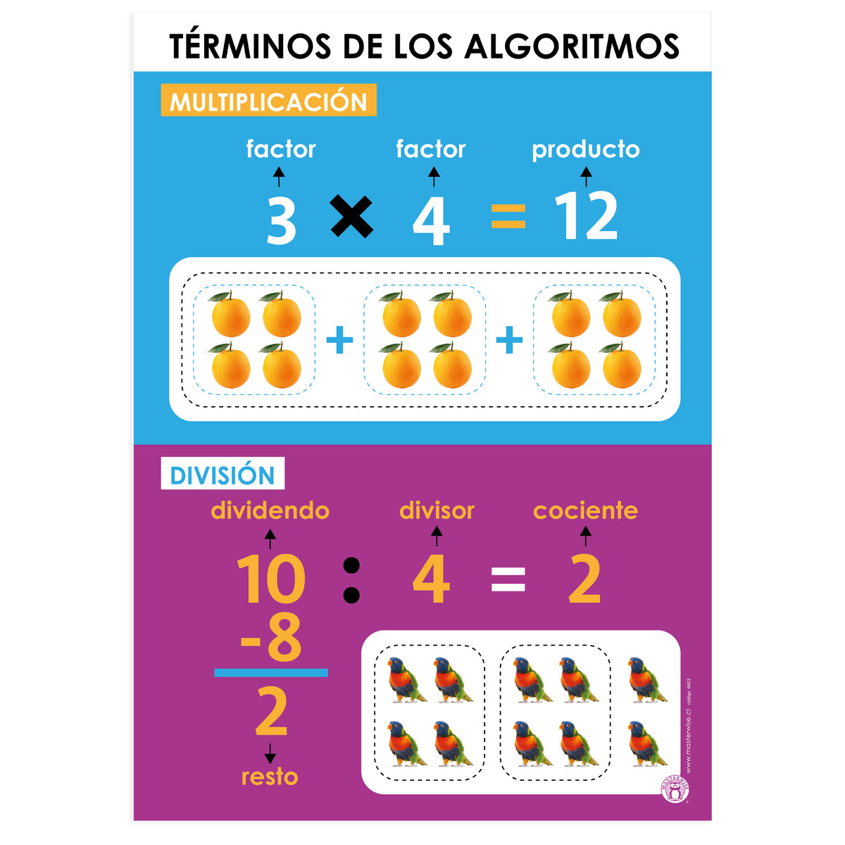 PANEL TÉRMINOS ALGORITMOS · Masterwise